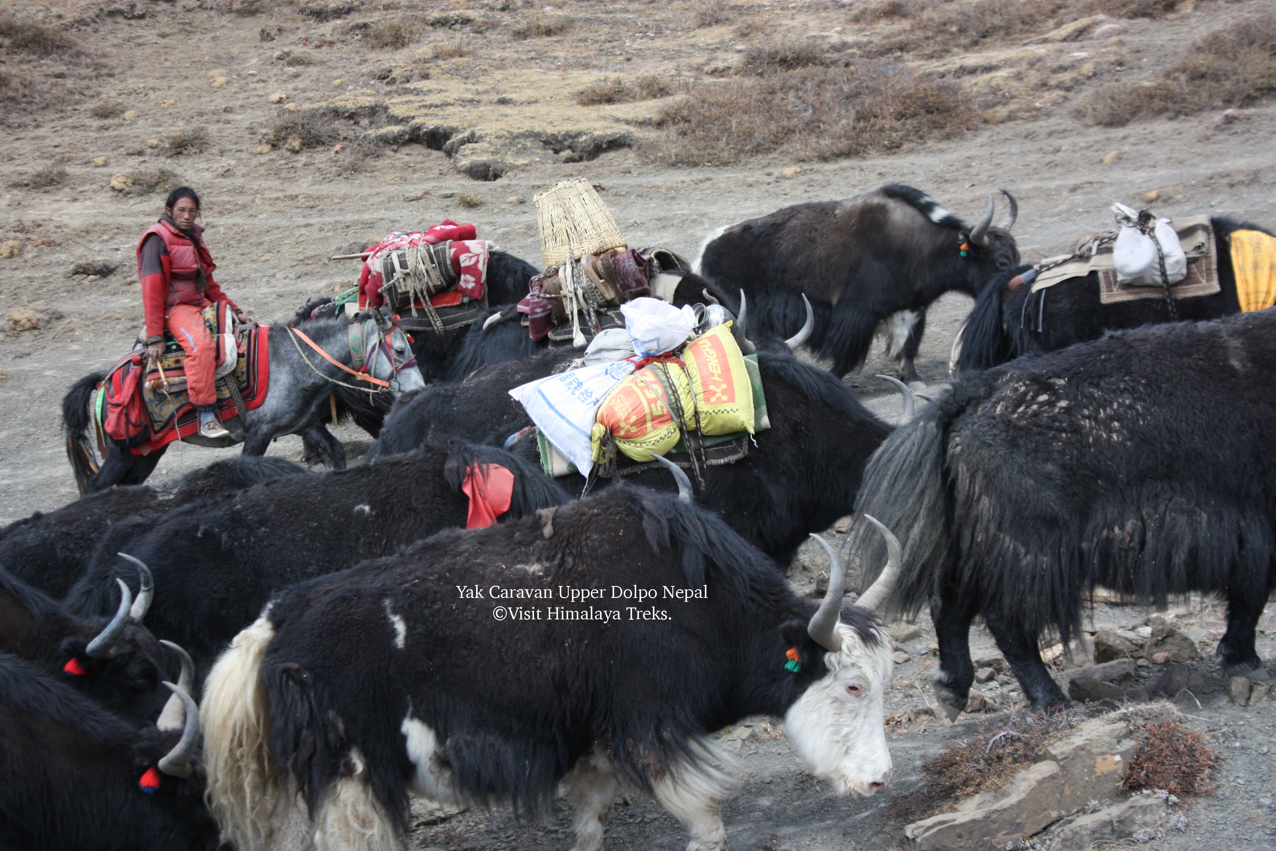 The Eight Hidden Facts About Upper Dolpo Nepal
